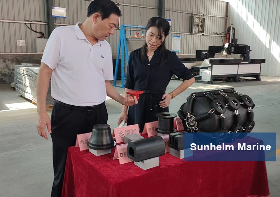 Welcome ZhangQiu District Leaders' Inspection in factory - SunHelm Marine